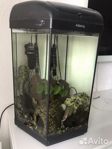 Аквариум с атрибутами
