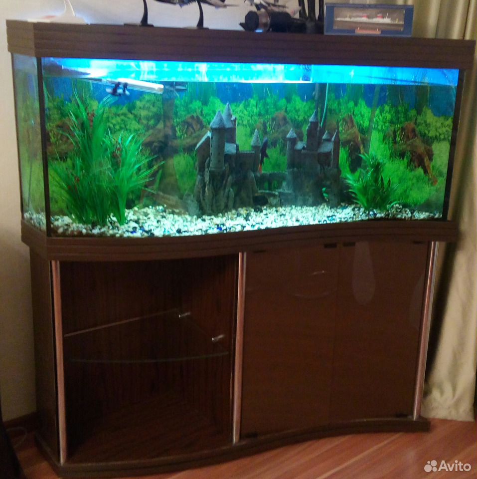 Продам аквариумм