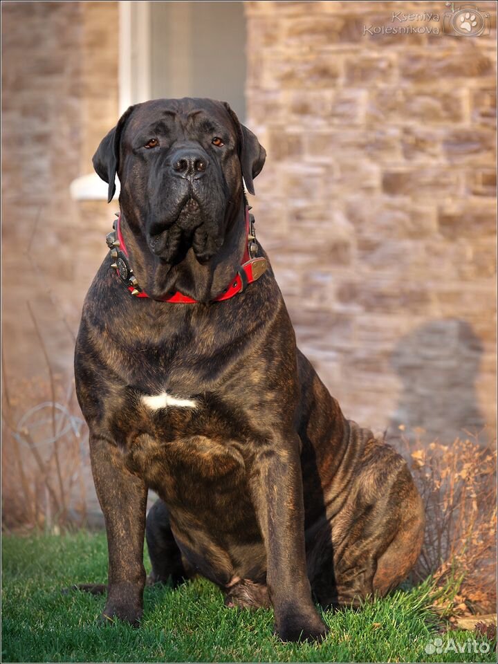 Вязка бурбуль