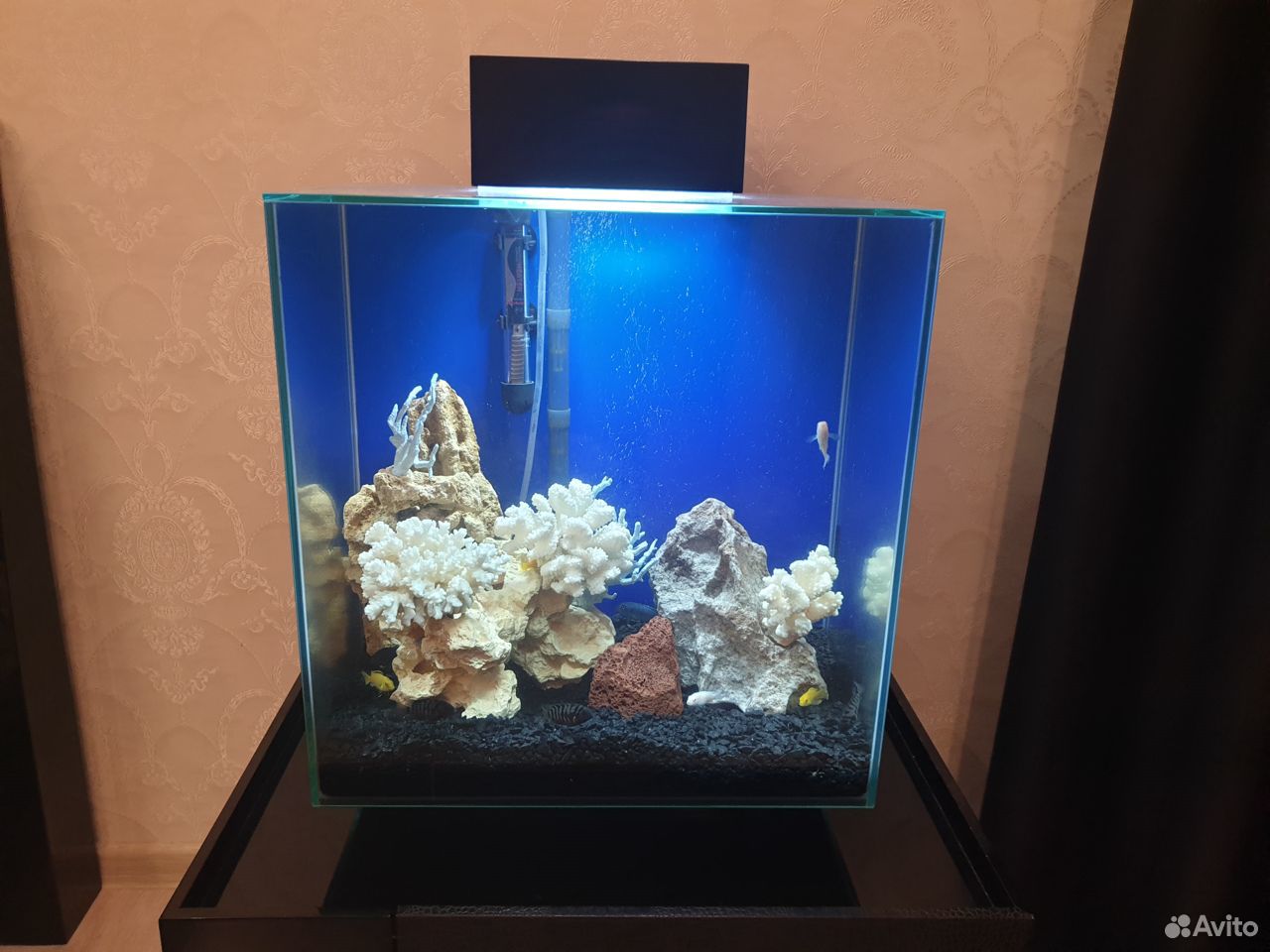 Аквариум fluval edge 46Л +тумба