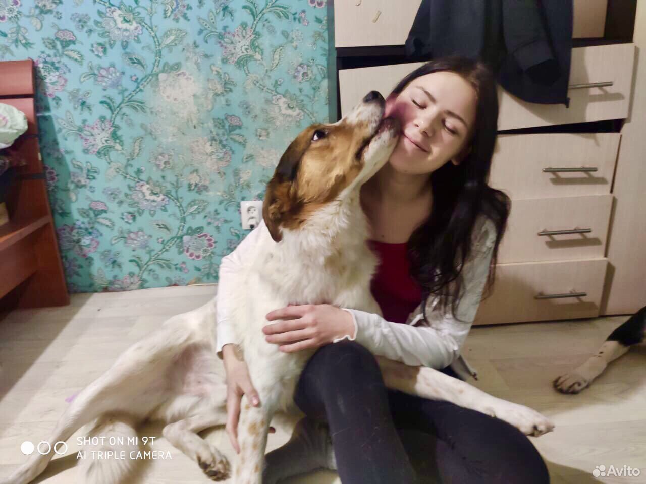 Джеймс) душа компании