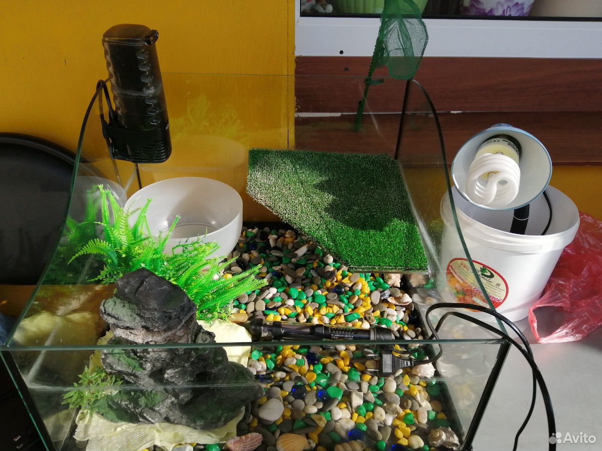 Аквариумный набор для черепахи, лягушки, тритона