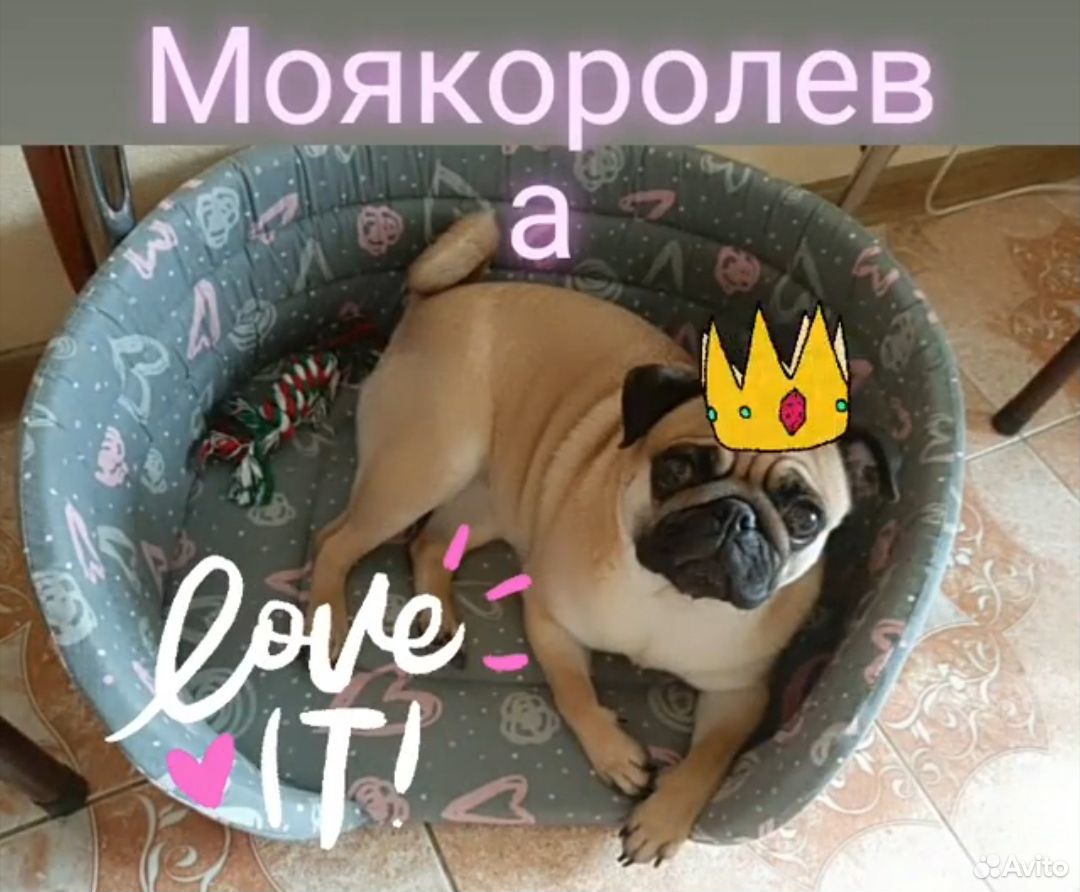 Вязка