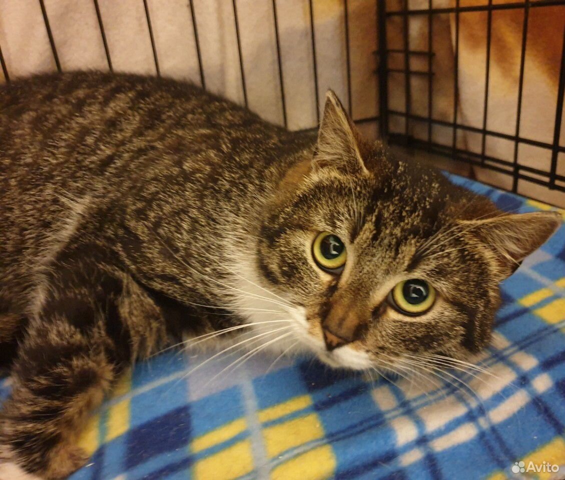 Машеньке хочется домой