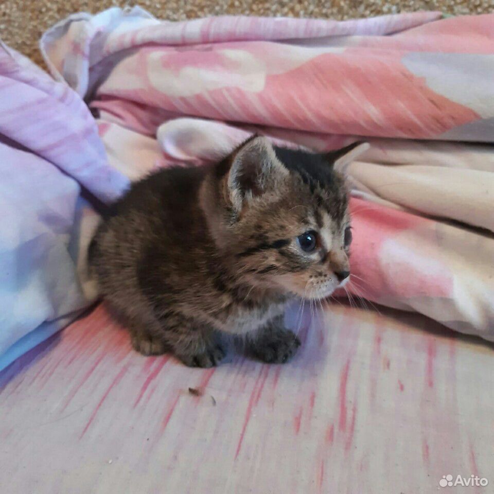 Малыш