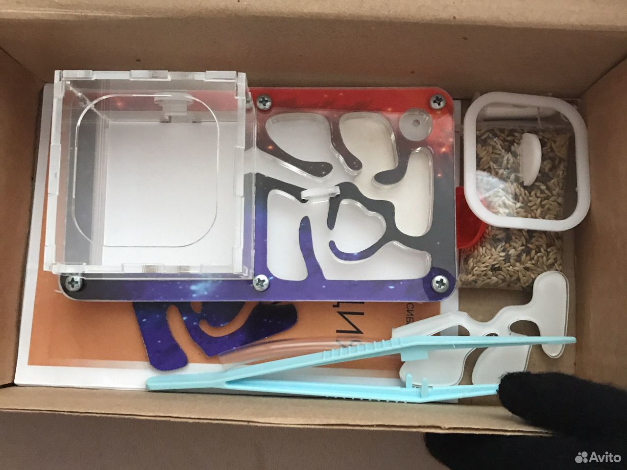 Формикарий