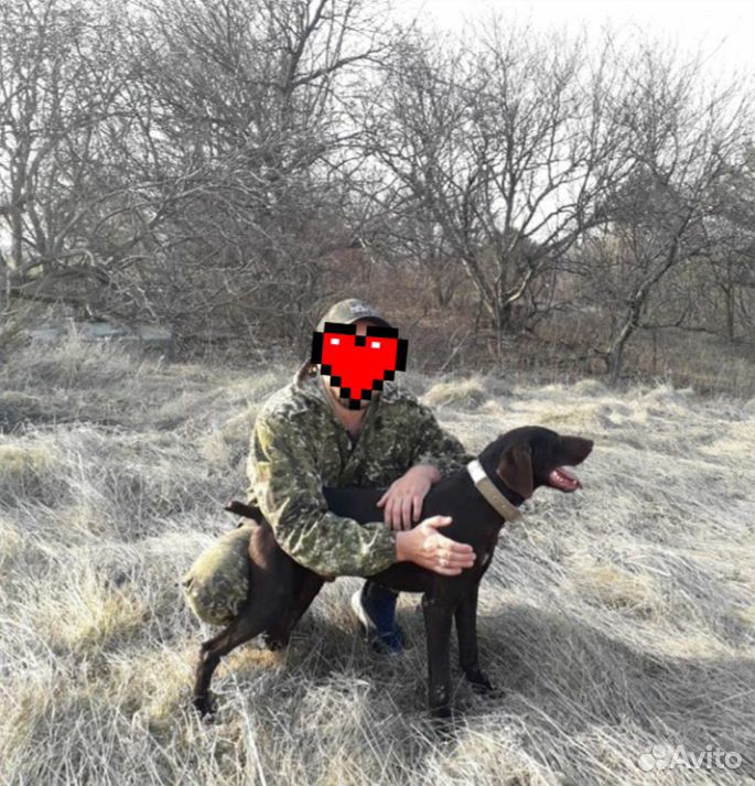 Курцхаар для вязки