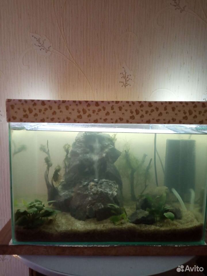 Аквариум