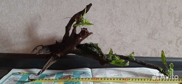 Коряга для аквариума