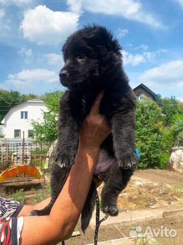 Няшка девочка