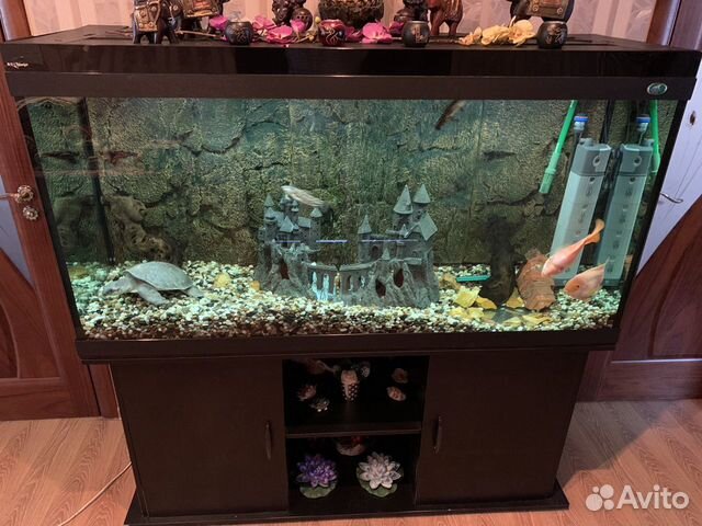 Аквариум с рыбками