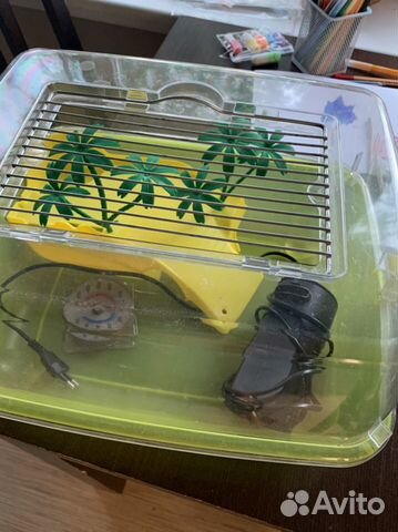 Аквариум для маленьких черепашек