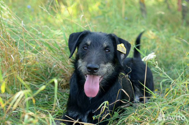 Маркус ждет свою семью