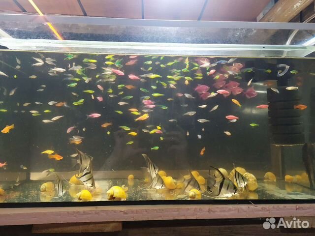 Украшение для аквариума