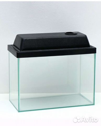 Аквариумные рыбки