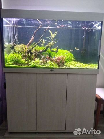 Аквариум