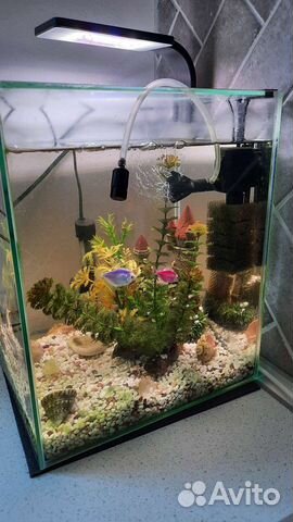 Аквариум