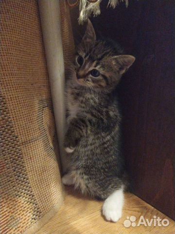 Европейская