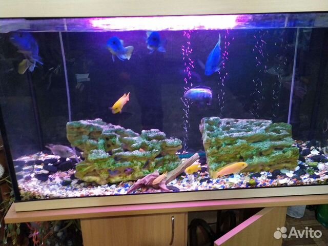 Аквариум