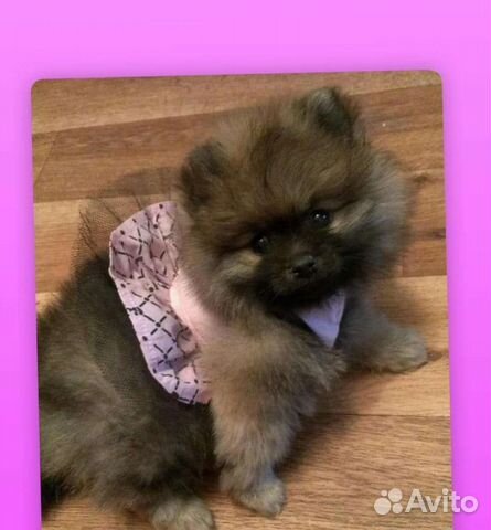 Подарок для любимых