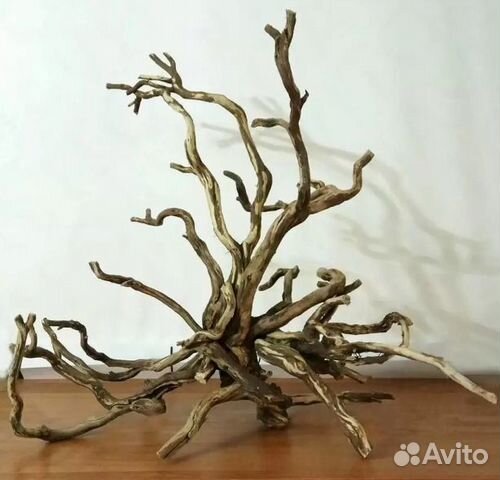 Коряги в аквариум,аквариумные растения