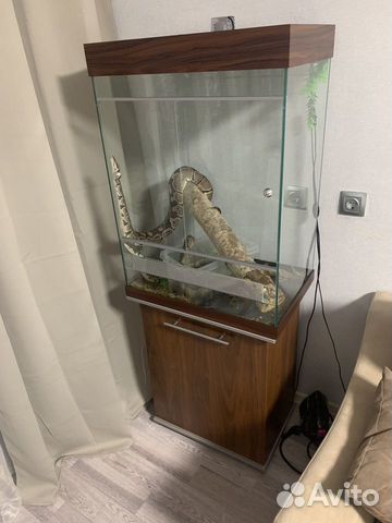 Террариум для рептилий