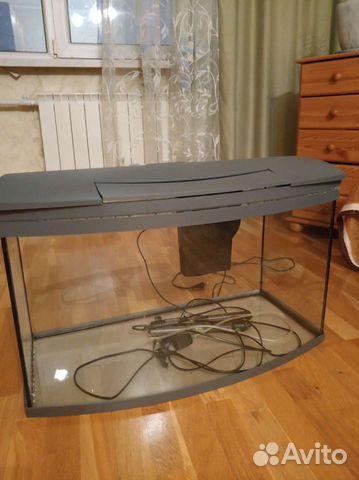 Аквариумные рыбки