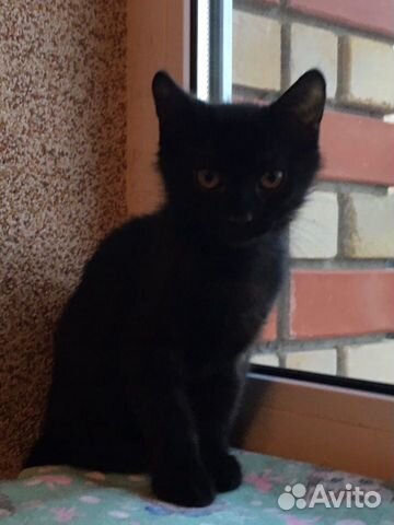 Просто классный пацан)