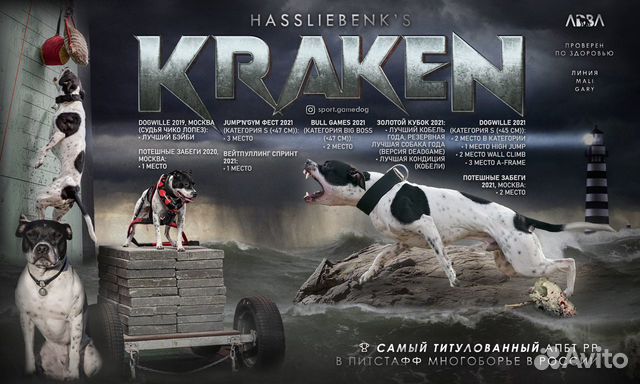 Открыт для разведения