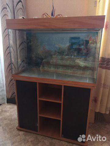 Аквариум