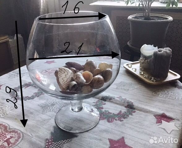 Аквариум рюмка с ракушками