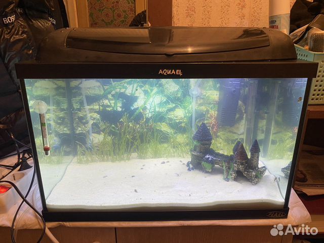 Аквариум 45л + полный комплект оборудования