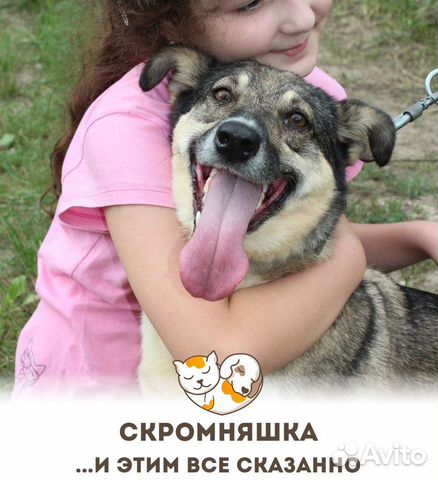 Собака Скромняжка, 5 лет, нежная девочка