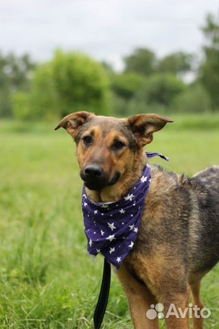 Ей холодно и страшно прожить всю жизнь за клеткой