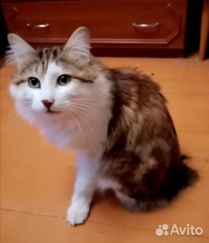 Вязка