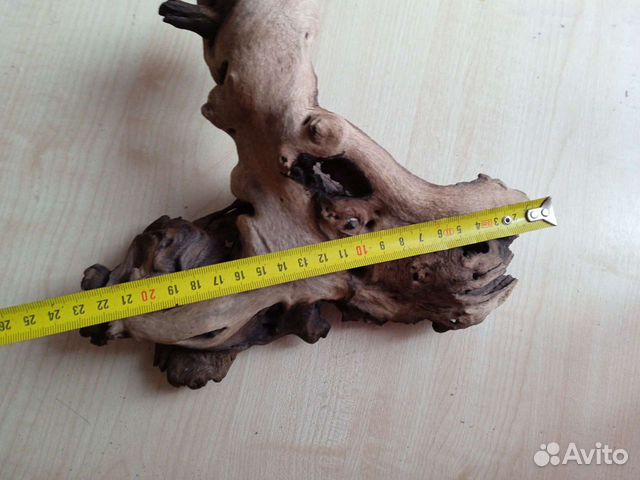Коряга мопани,натуральная