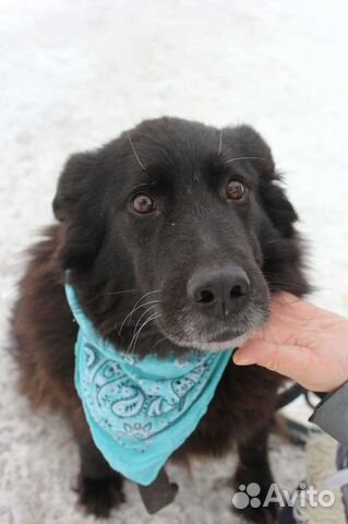 Ласковая девочка Лола мечтает обрести семью