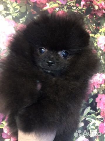 Миниатюрная помочка