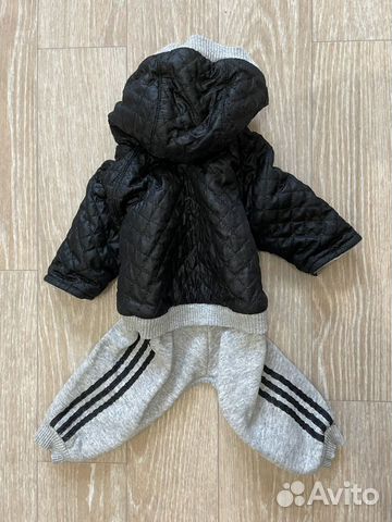 Одежда для собак