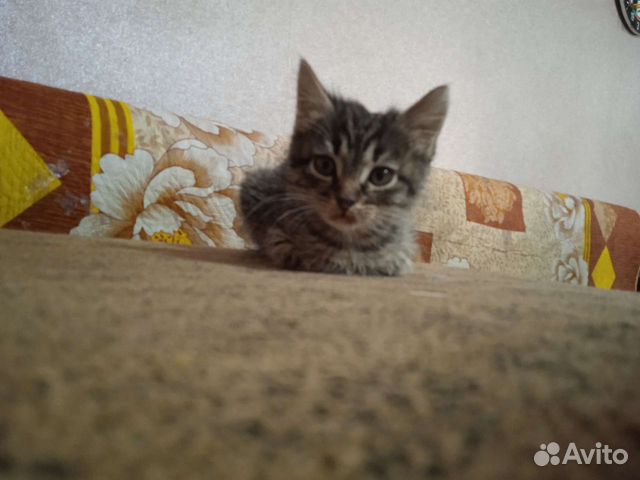 Кнопочка черная девочка