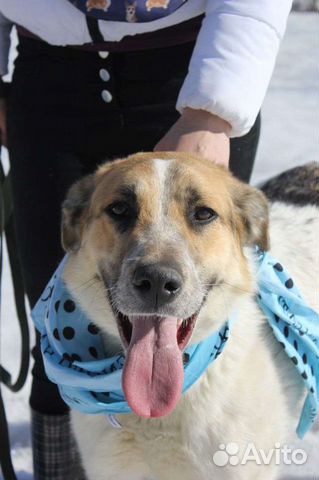 Сколько уже можно сидеть в клетке