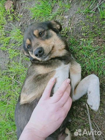 Маленькая мама ищет дом своим деткам и себе