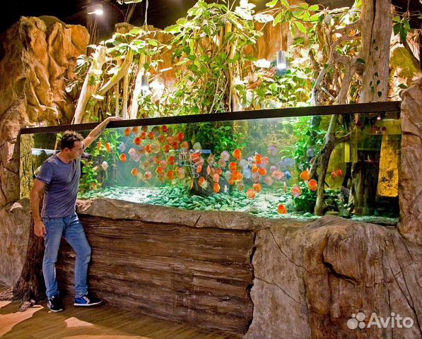 Аквариумы Большие новые с тумбами