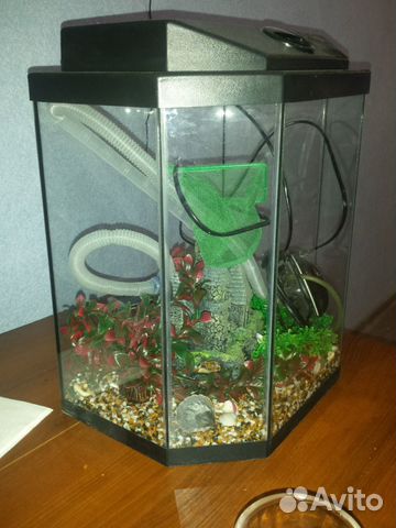 Аквариум на 25л