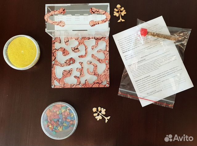 Муравьиная ферма