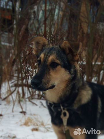 Пятьдесят Оттенков Серого