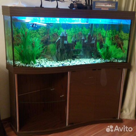 Продам аквариумм