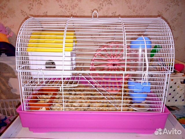 Джунгарик с клеткой
