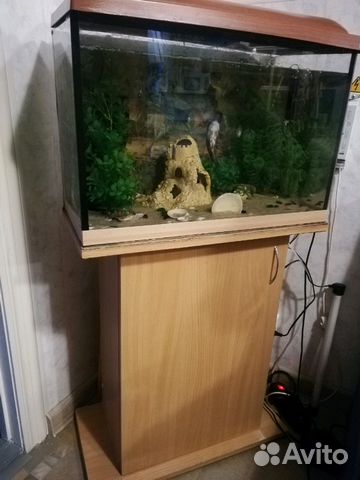 Аквариум Колпино с тумбой и всем всем