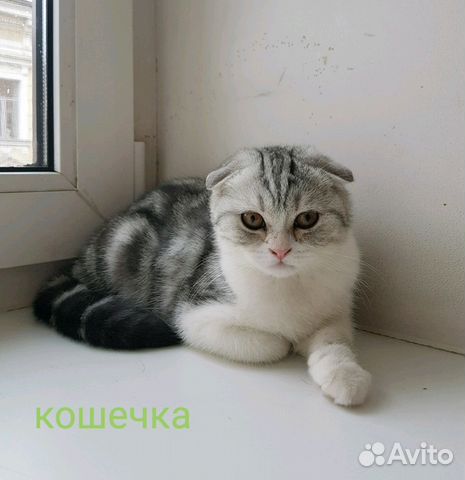 Мраморная принцесска